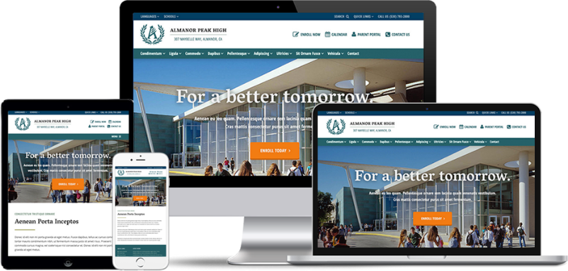 CatapultCMS - Log In